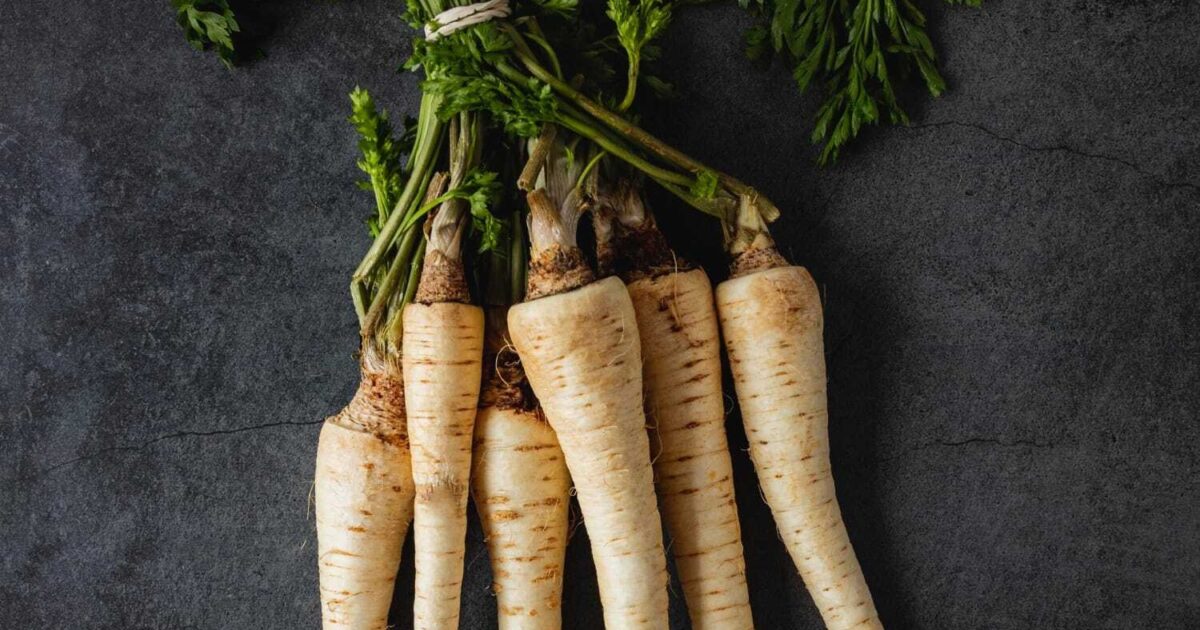 Ako pestovať petržlen koreňový | Zdravopedia.sk