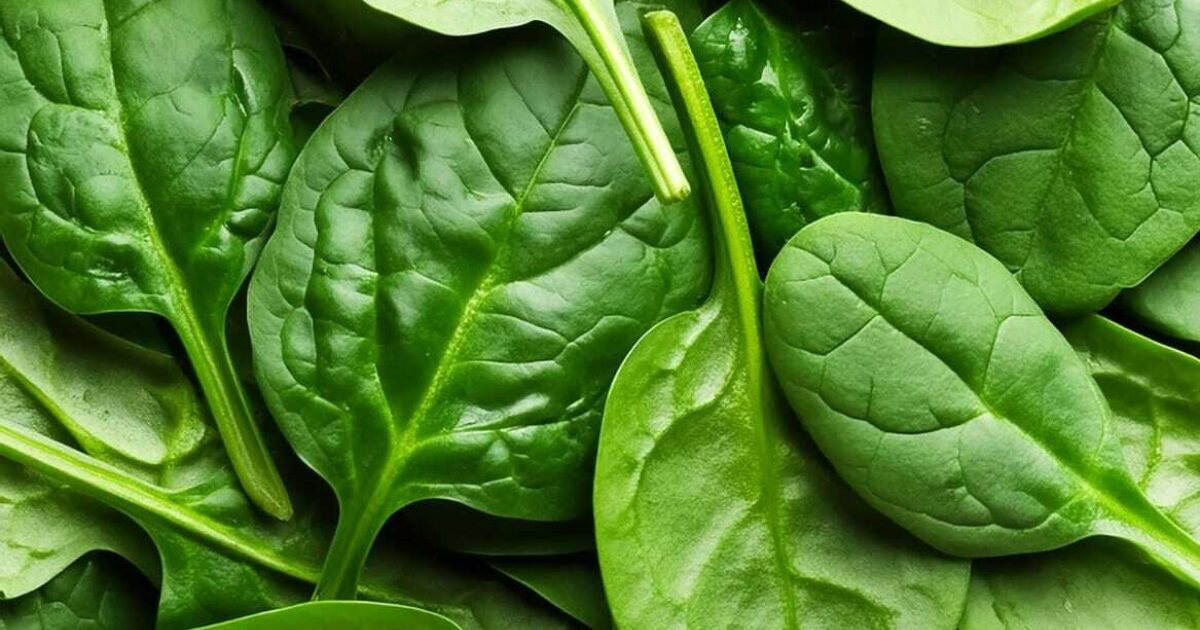 Ako pestovať špenát | Zdravopedia.sk