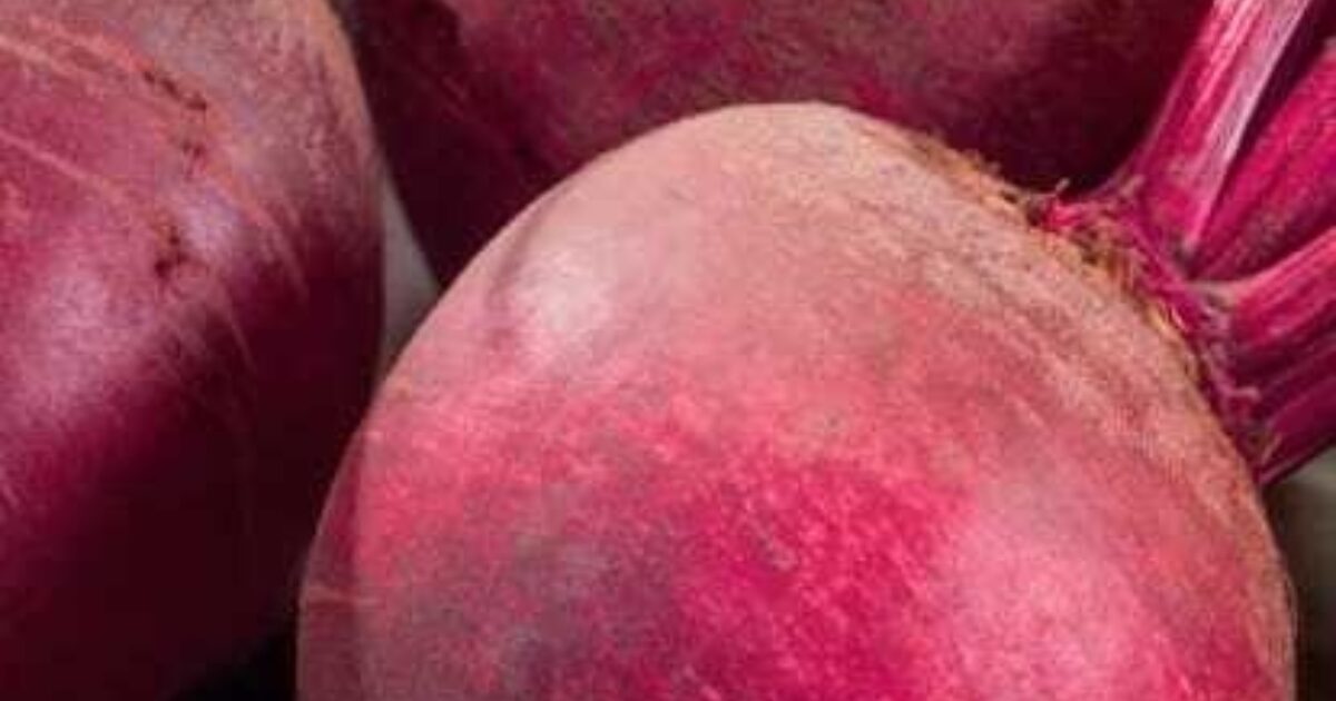 Ako pestovať: Cviklu Bikores | Zdravopedia.sk