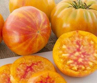 Ako pestovať: Paradajky mäsité Ananas | Zdravopedia.sk