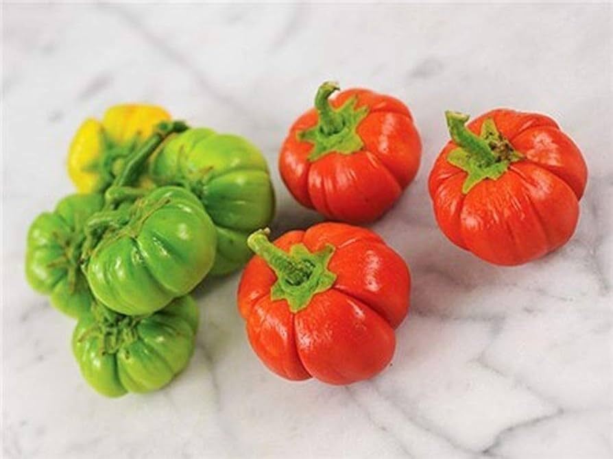 Ako pestovať: Baklažán Goyo | Zdravopedia.sk