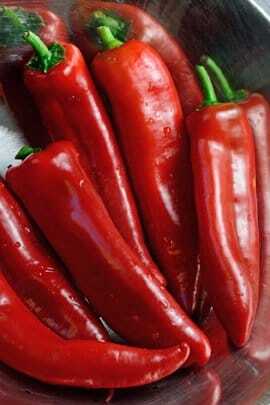 Ako pestovať: Papriku Korosko | Zdravopedia.sk