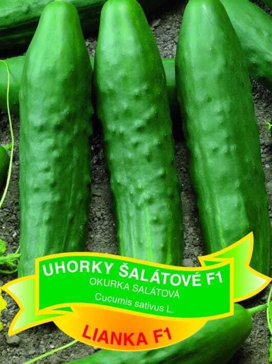 Ako pestovať: Uhorku Lianka | Zdravopedia.sk