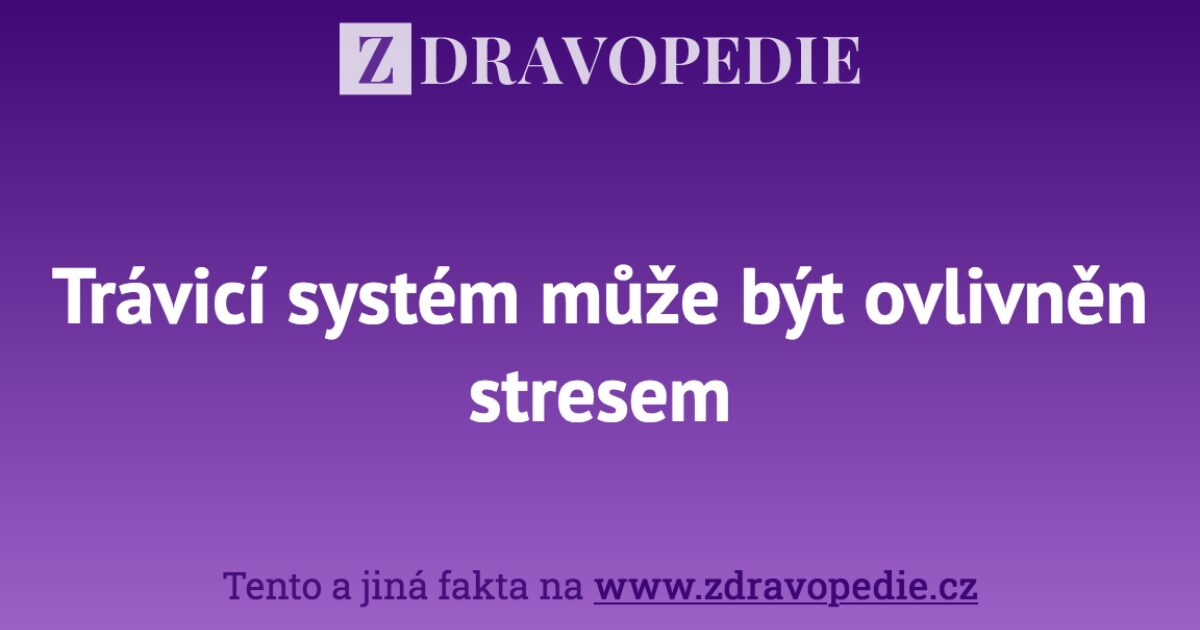 Trávicí systém může být ovlivněn stresem | Zdravopedie.cz