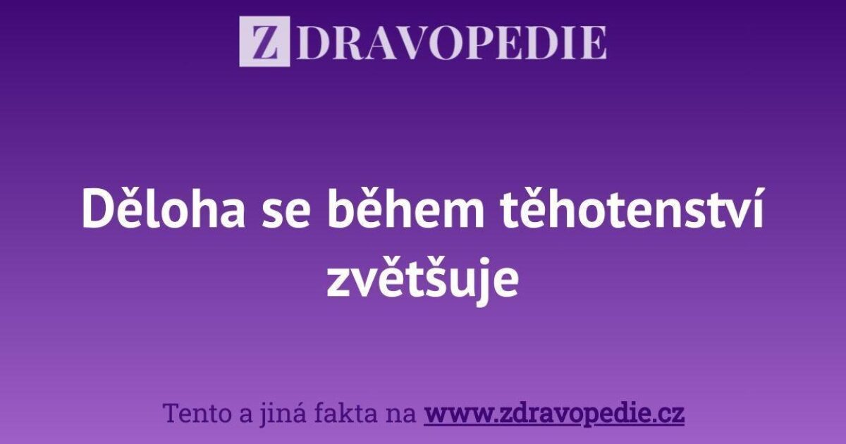 Děloha se během těhotenství zvětšuje | Zdravopedie.cz
