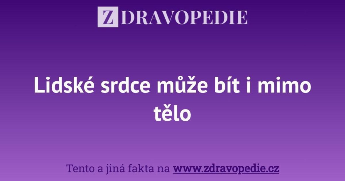 Lidské srdce může bít i mimo tělo | Zdravopedie.cz