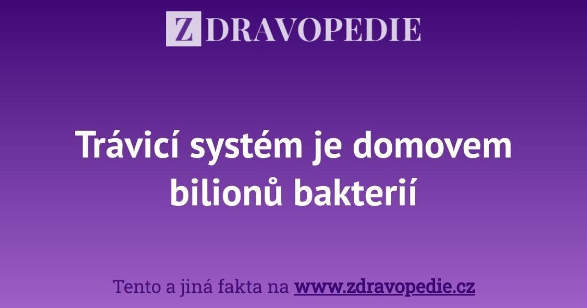 Trávicí systém je domovem bilionů bakterií | Zdravopedie.cz