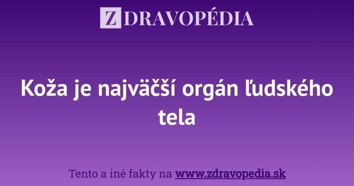 Koža je najväčší orgán ľudského tela | Zdravopedia.sk