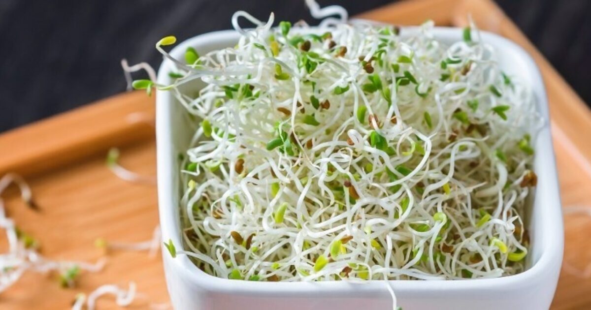 Alfalfa - 7 účinkov na zdravie | Zdravopedia.sk