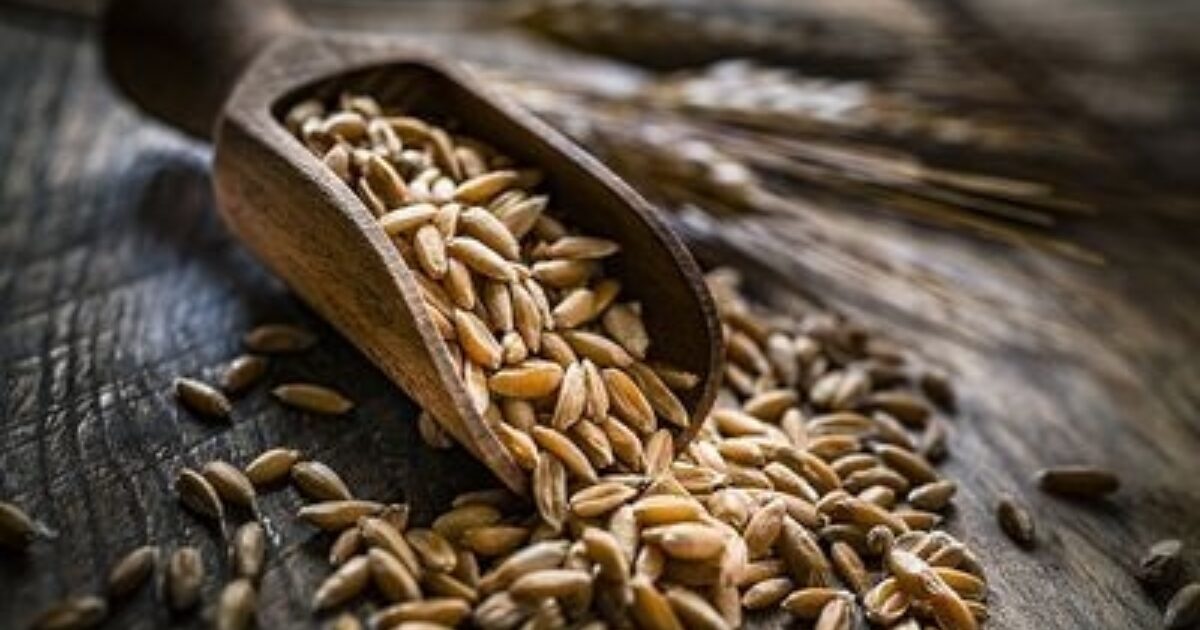 Kamut - 9 účinků na zdraví | Zdravopedie.cz