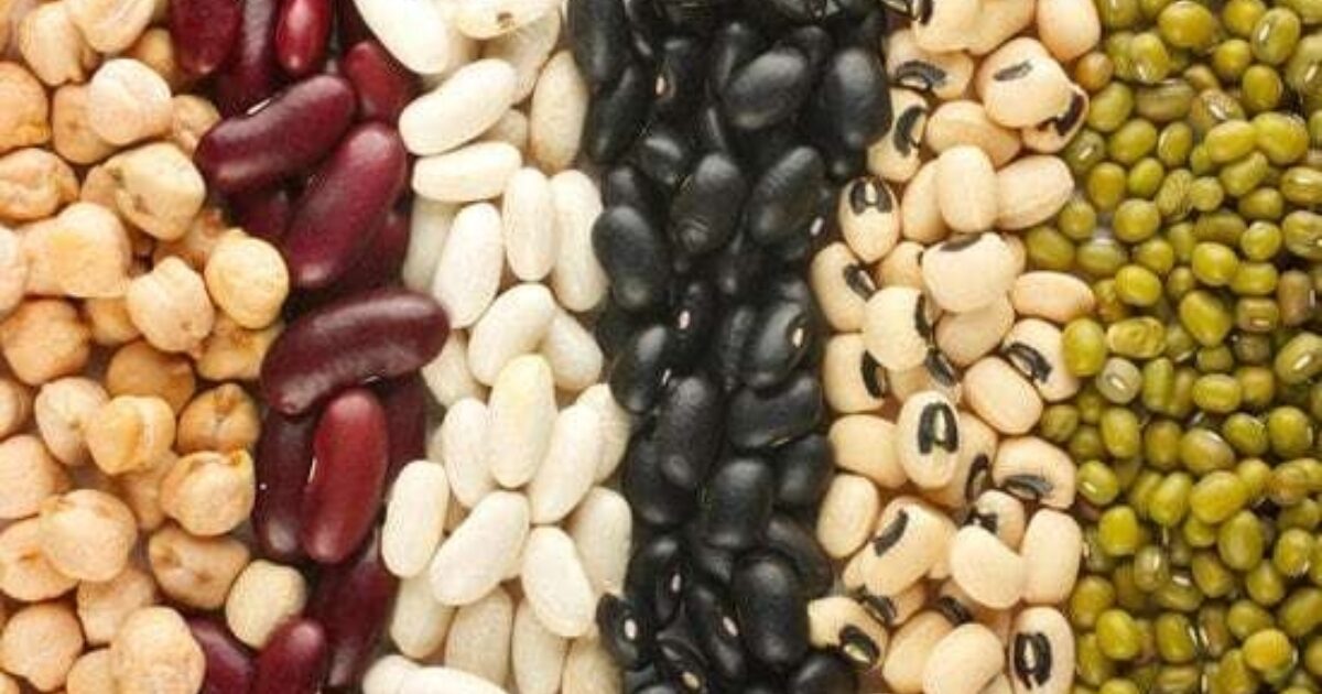 Fazuľa - 10 účinkov na zdravie | Zdravopedia.sk