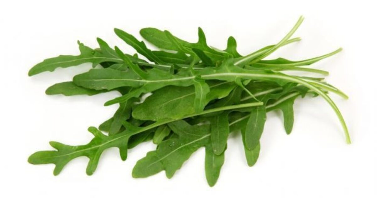 Rukola - 10 účinků na zdraví | Zdravopedie.cz